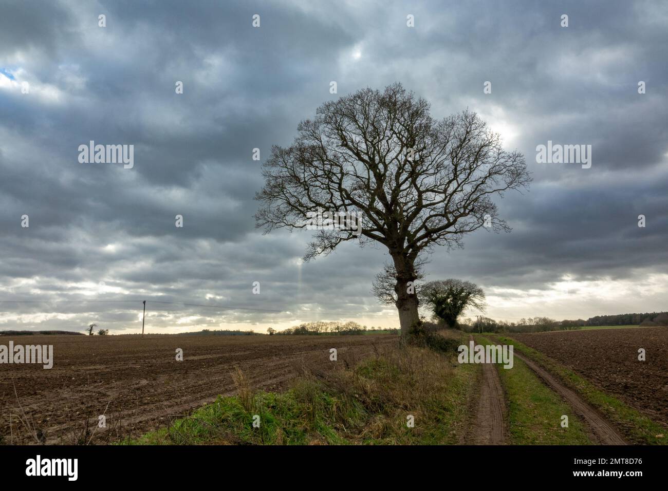 Norfolk coutryside hi-res stock photography and images - Alamy
