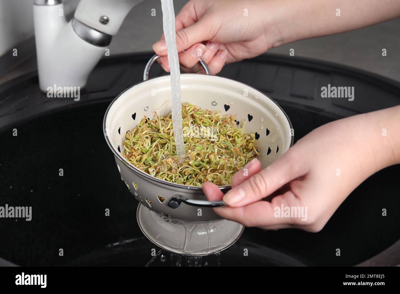Woman washing sprouted green buckwheat over sink, closeup Stock Photo ...