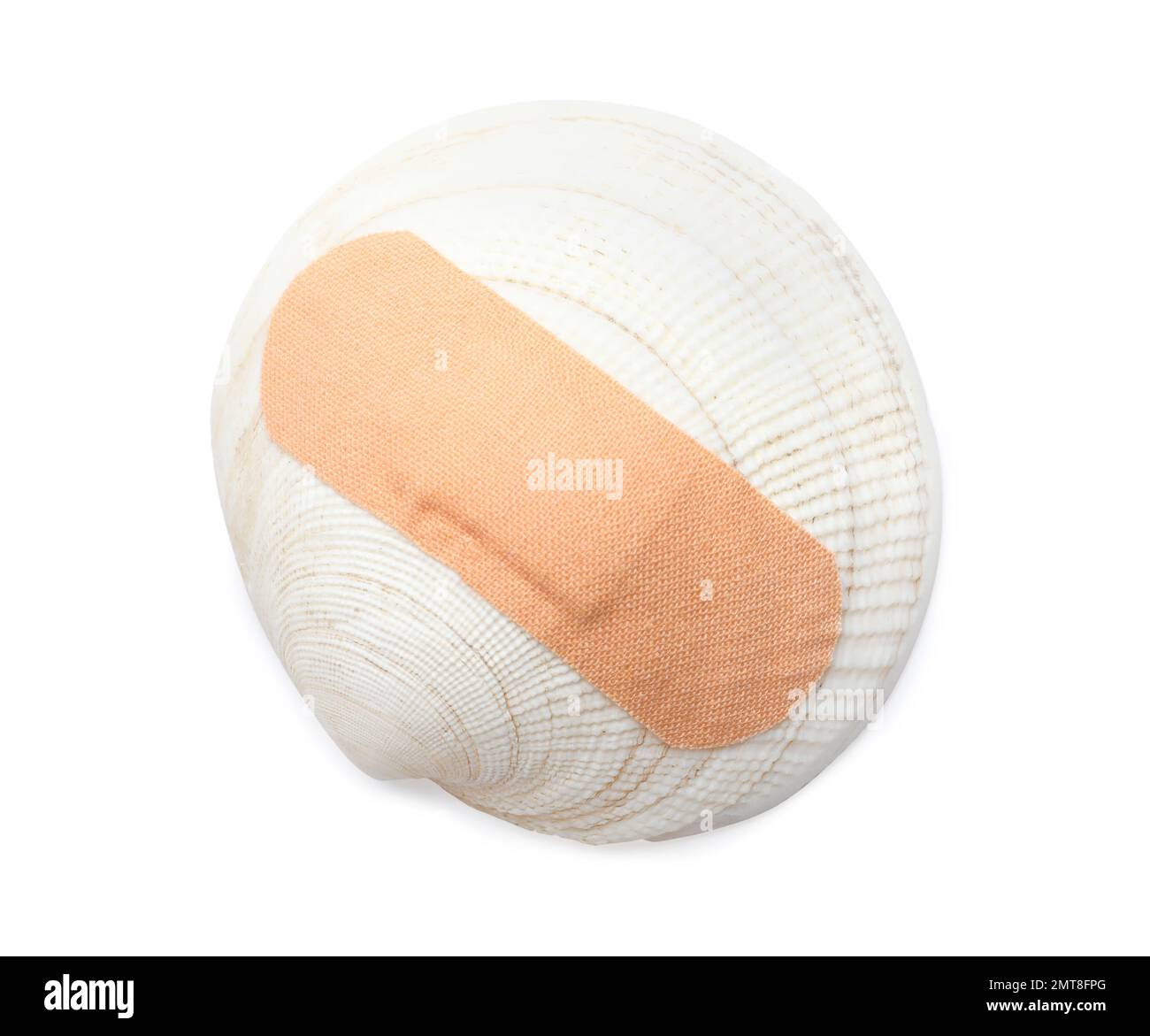 Shell with sticking plaster isolated on white, top view Stock Photo - Alamy