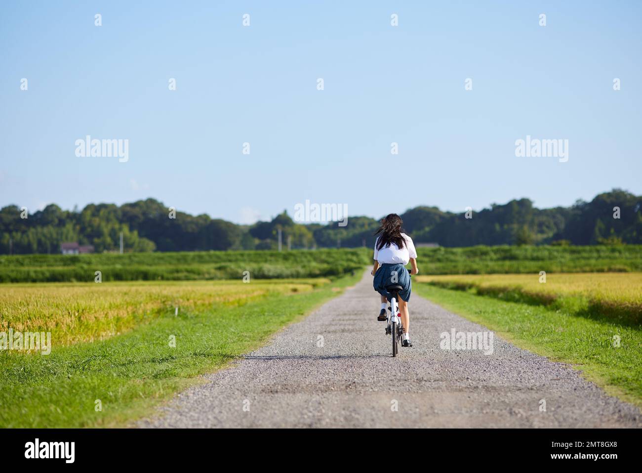 Japanese high school student on a bike outdoors Stock Photo - Alamy