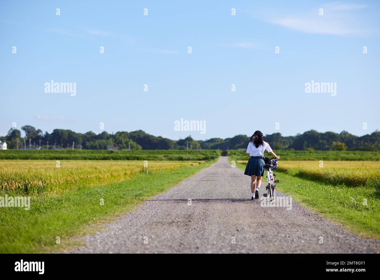 Japanese high school student on a bike outdoors Stock Photo - Alamy