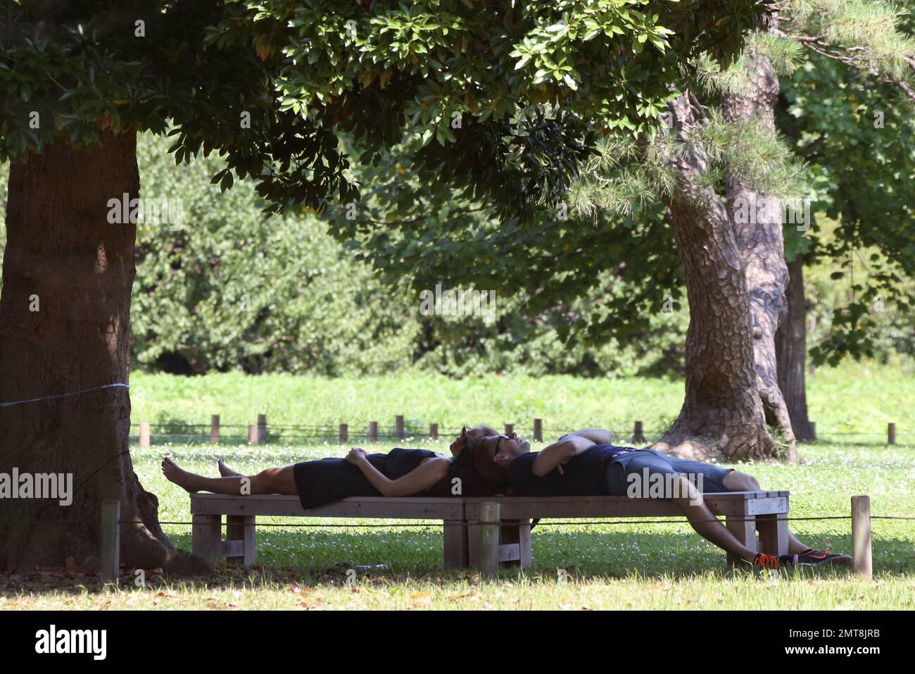 People rest under the tree at the park in Tokyo, Monday, July 10, 2017 ...