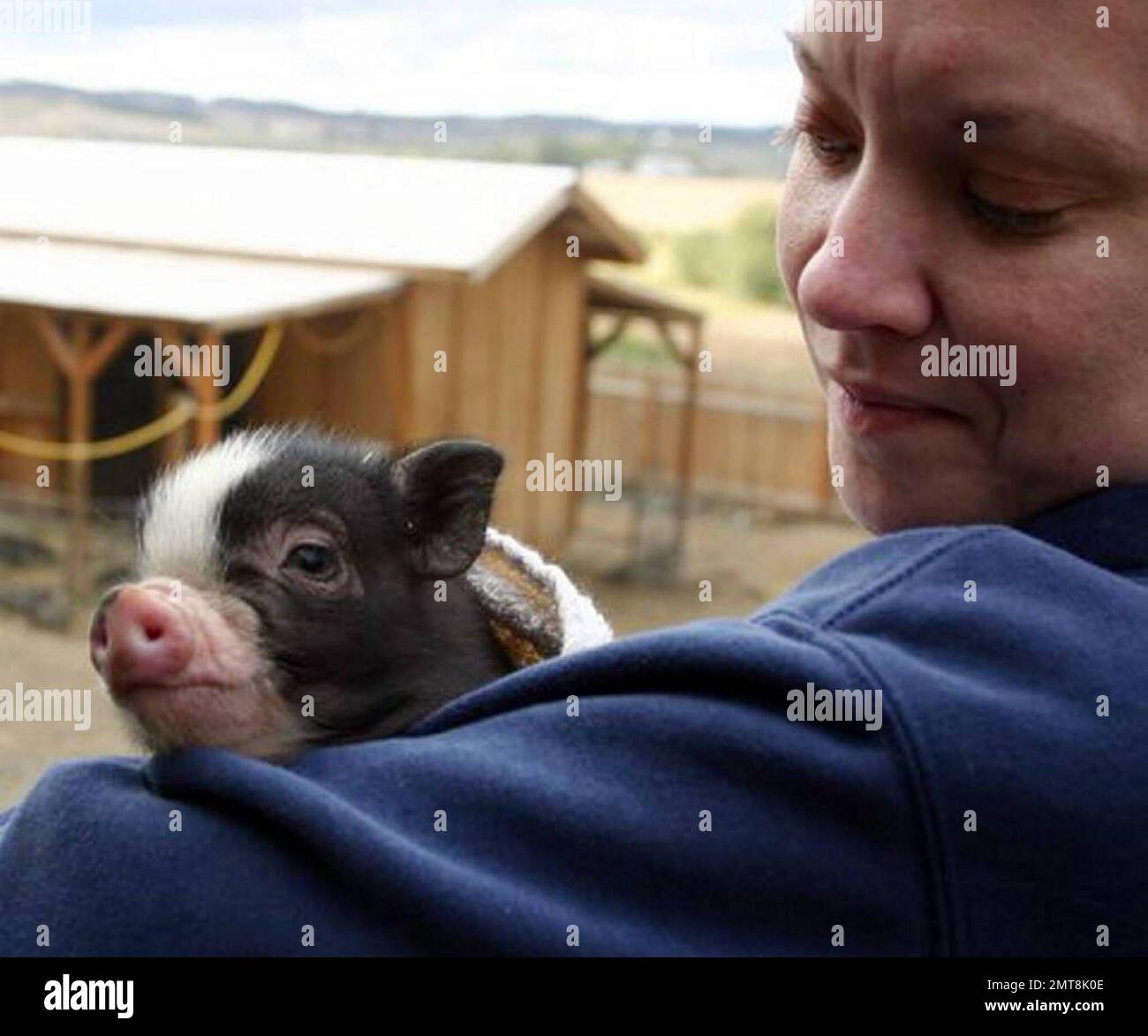 EXCLUSIVE!! This is Paris Hilton's adorable new pet Princess Pigelette ...