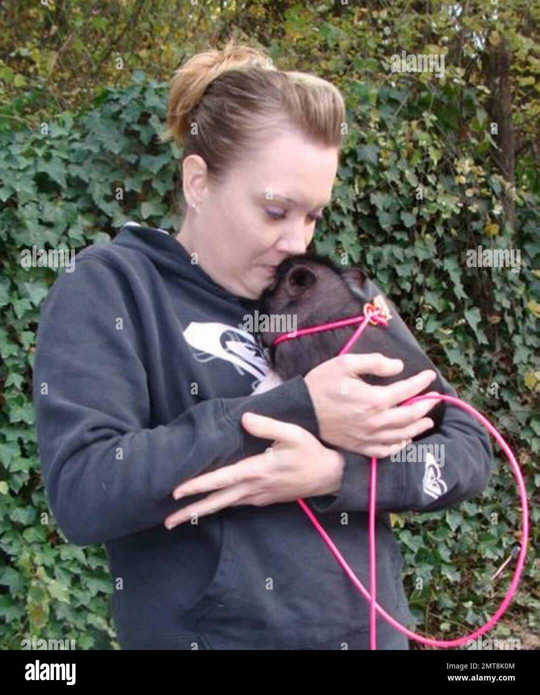 EXCLUSIVE!! This is Paris Hilton's adorable new pet Princess Pigelette ...