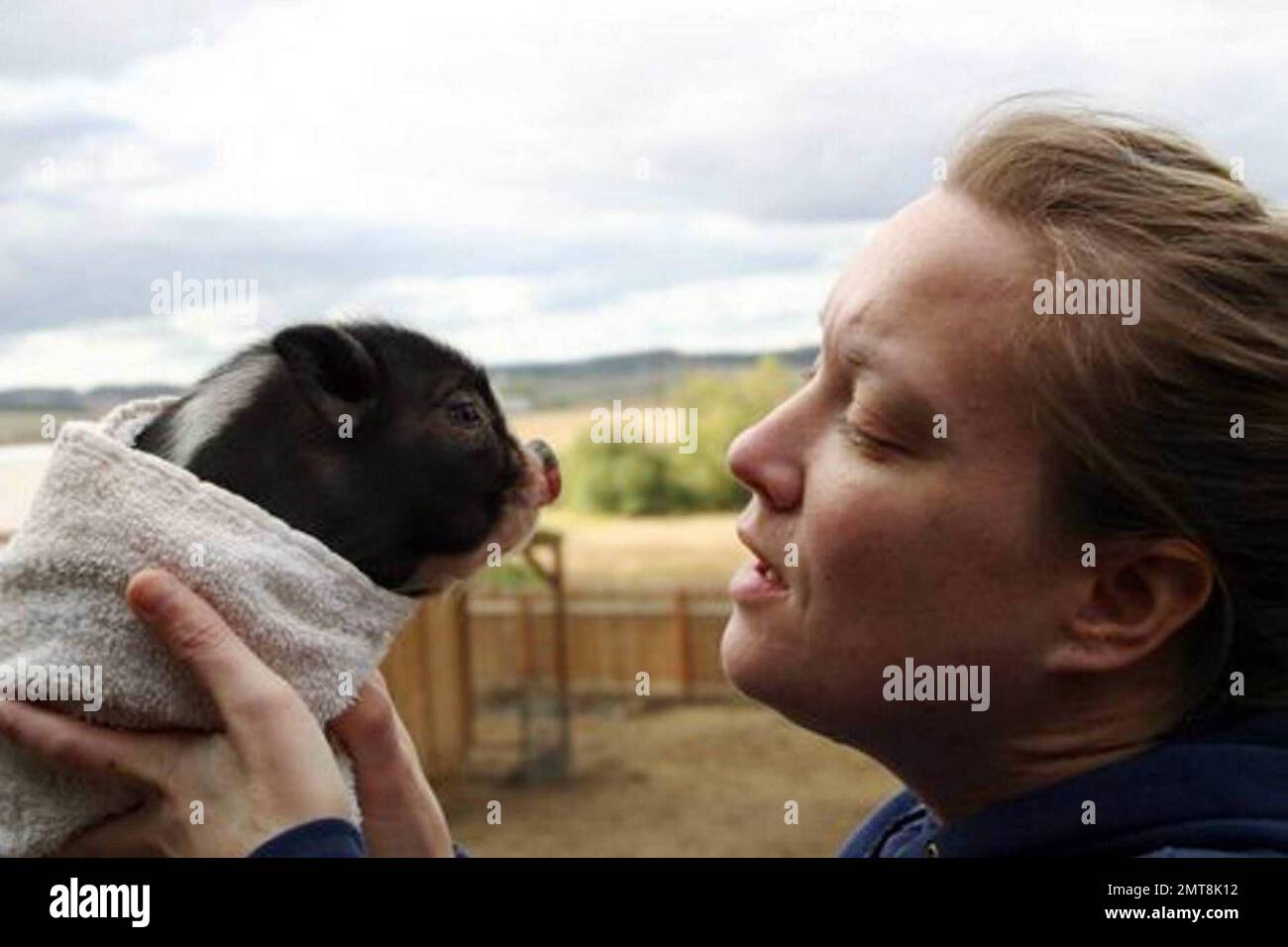 EXCLUSIVE!! This is Paris Hilton's adorable new pet Princess Pigelette ...