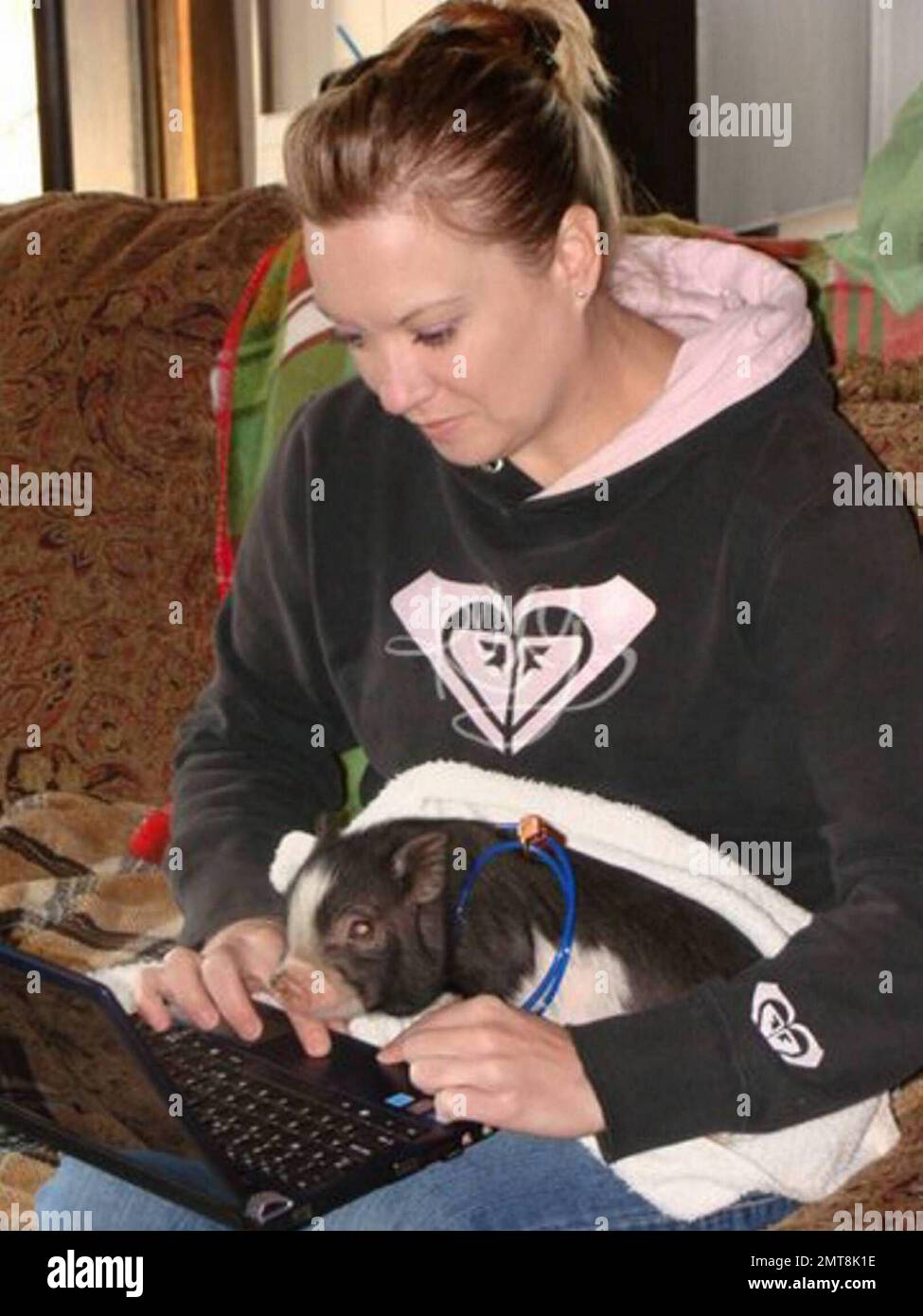 EXCLUSIVE!! This is Paris Hilton's adorable new pet Princess Pigelette ...