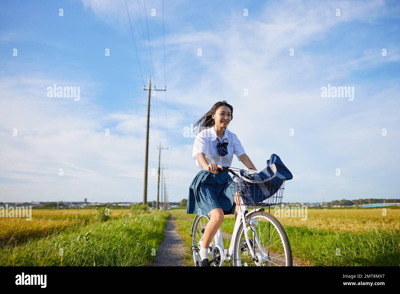 Japan rice field pole hi-res stock photography and images - Alamy