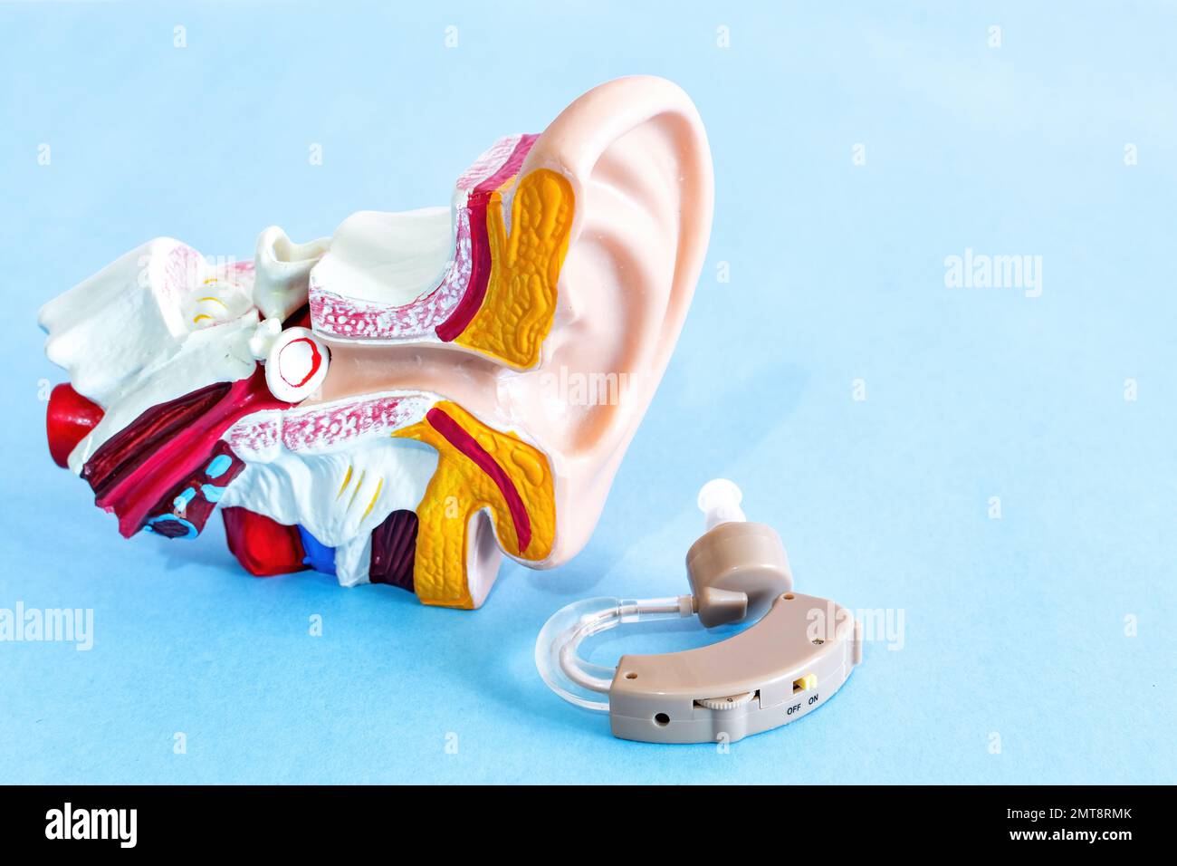 A closeup shot of an anatomical ear model with the hearing aid on a ...