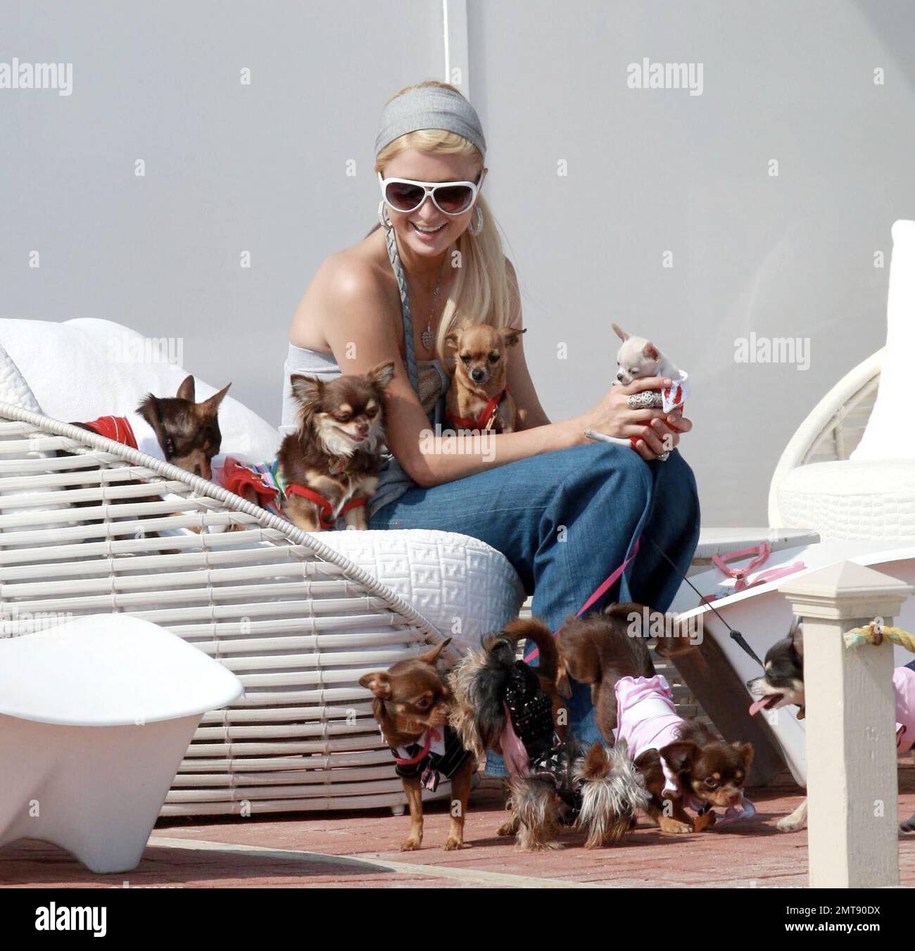 Paris Hilton has gone to the dogs! All eight of them! Paris spends time ...