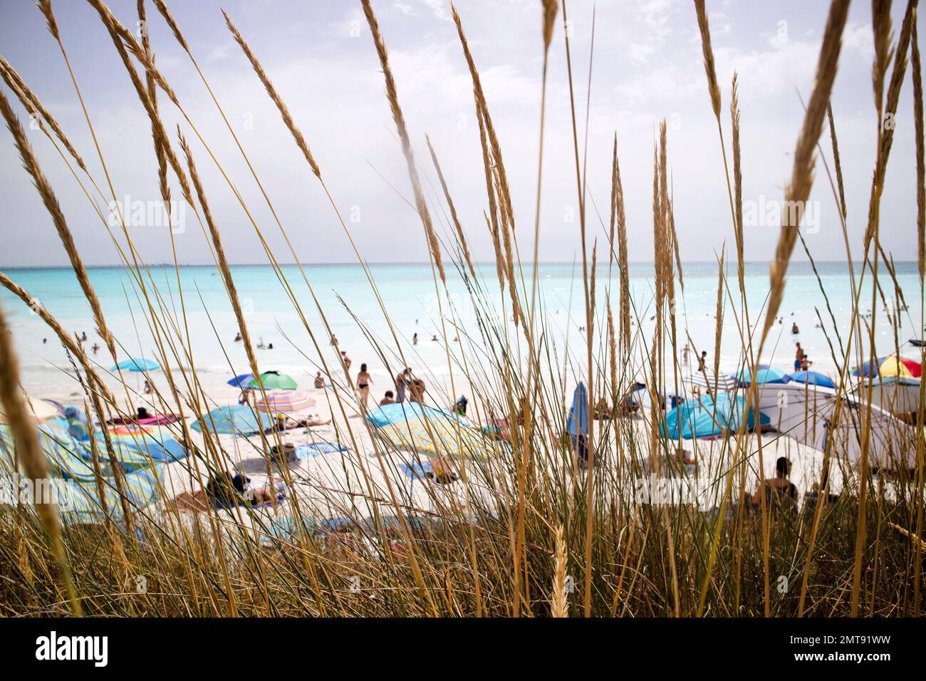 Photographic documentation of the white beaches of Vada a Rosignano ...