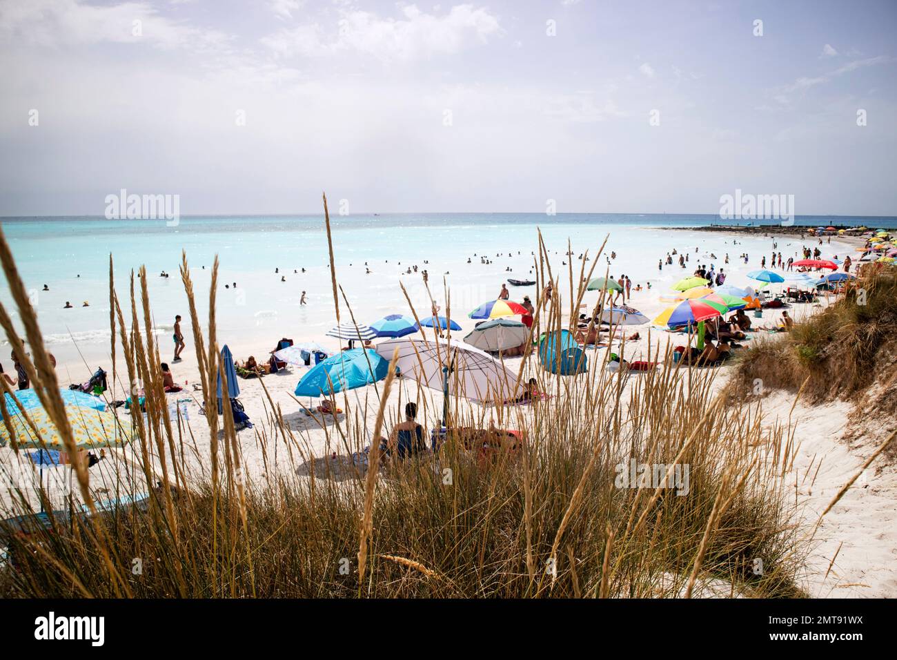 Photographic documentation of the white beaches of Vada a Rosignano ...