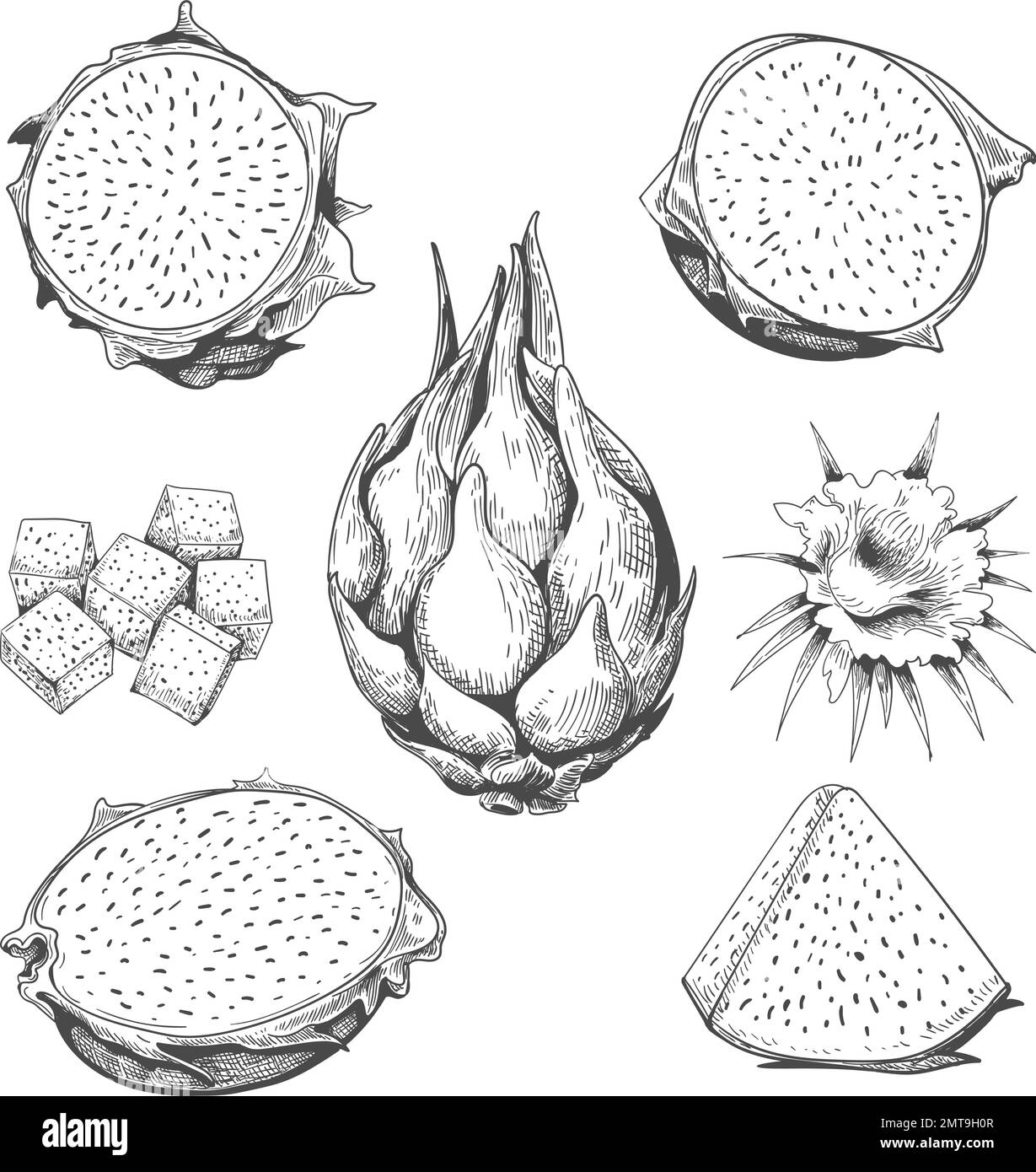 Half dragon fruit Black and White Stock Photos & Images - Alamy