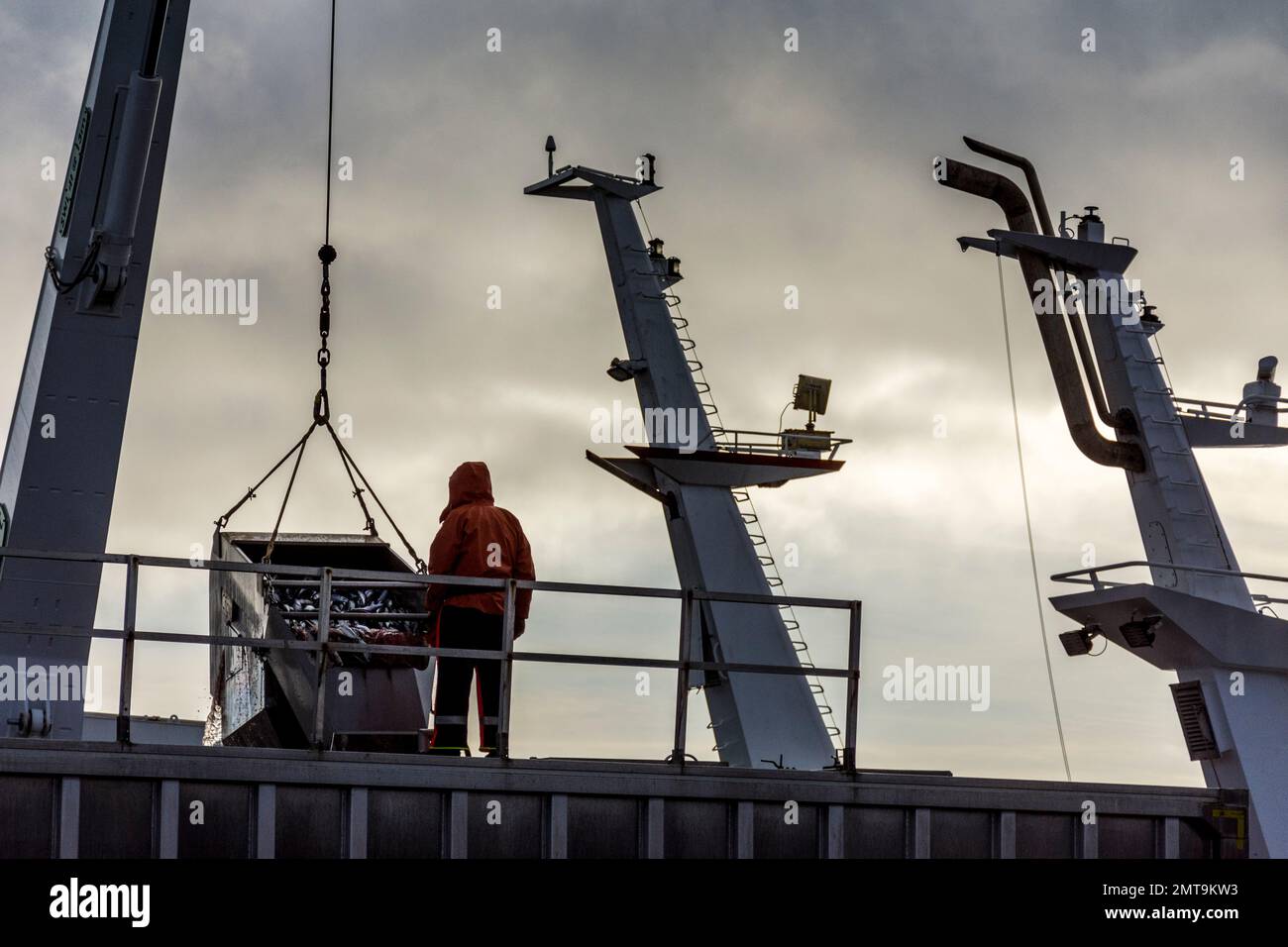 Unloading fish from ANTARCTIC super trawler in Killybegs, County ...