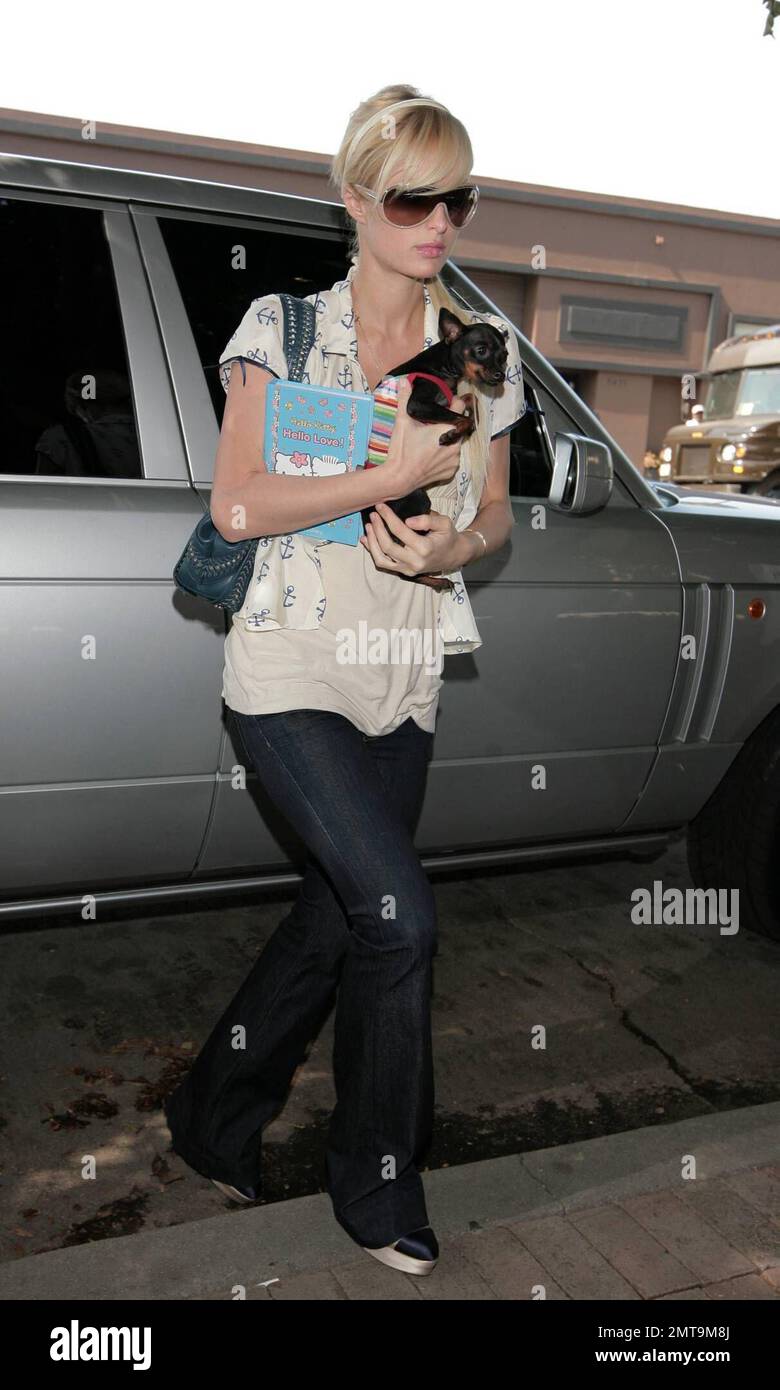 Soon-to-be-jailbird Paris Hilton, holding a puppy and a "Hello Kitty ...