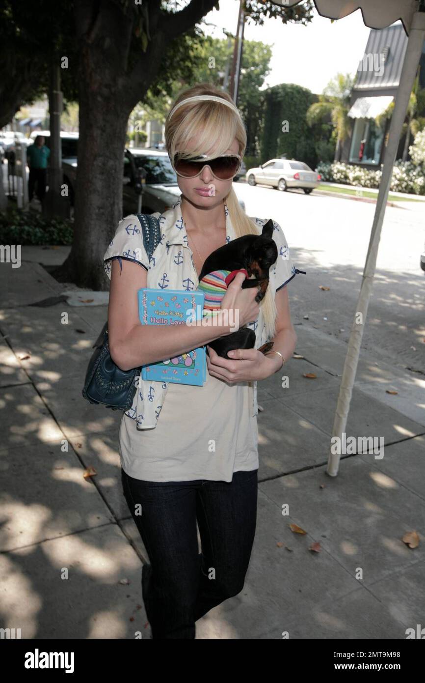 Soon-to-be-jailbird Paris Hilton, holding a puppy and a "Hello Kitty ...