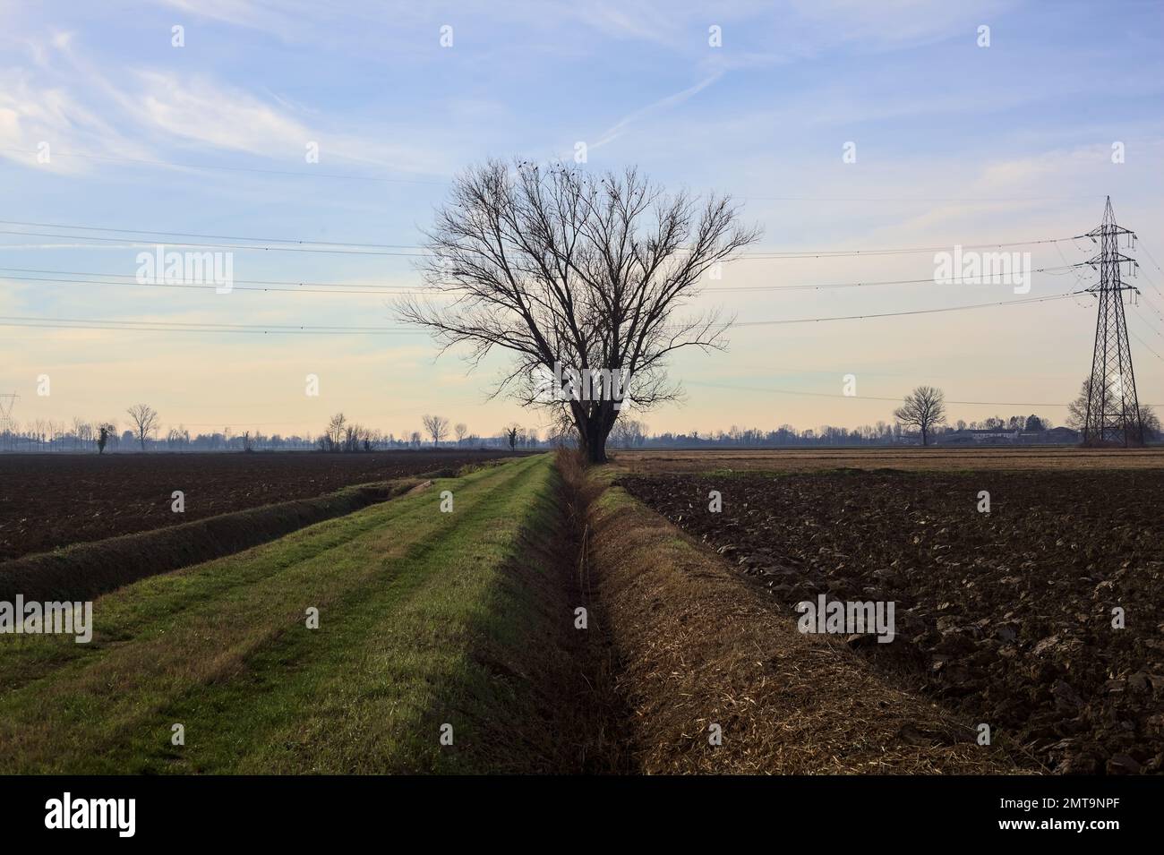 Trail between ploughed fields and dry irrigation channels with a poplar ...