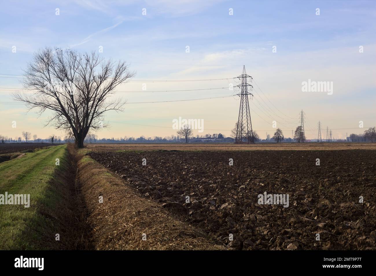 Trail between ploughed fields and dry irrigation channels with a poplar ...