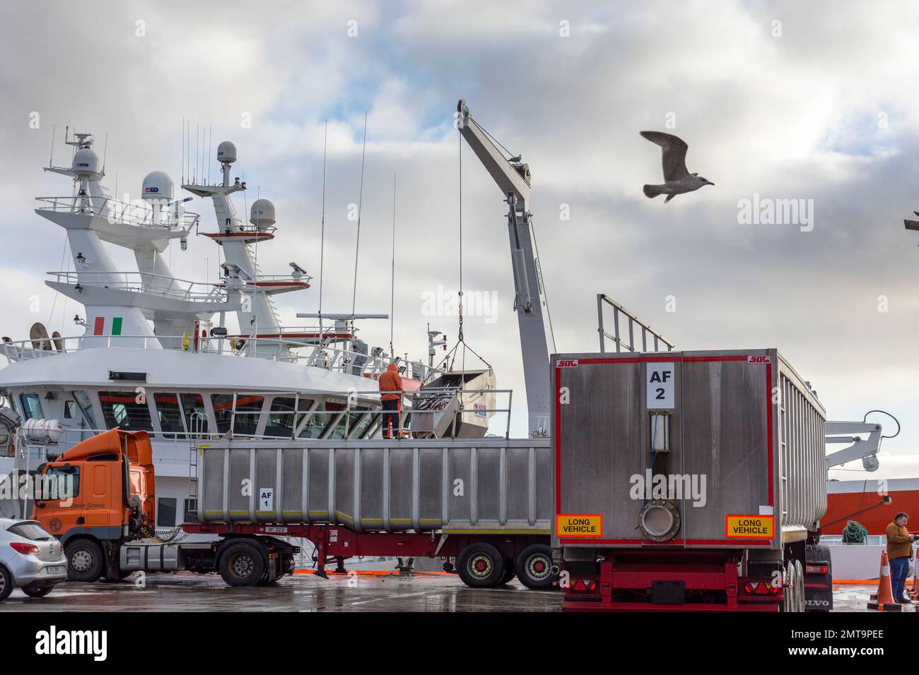 Unloading fish from ANTARCTIC super trawler in Killybegs, County ...