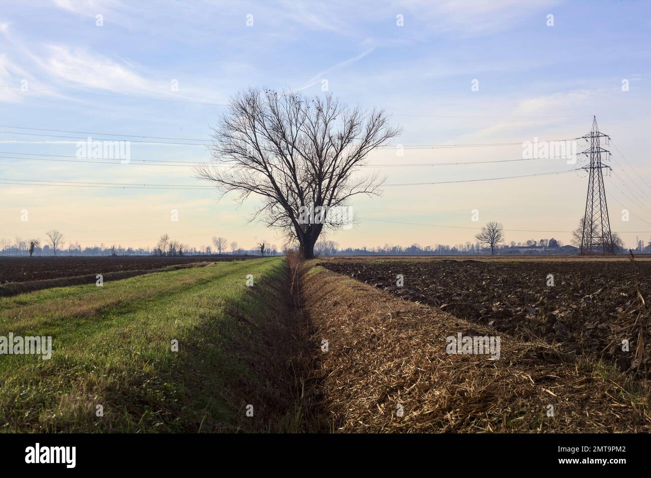 Trail between ploughed fields and dry irrigation channels with a poplar ...
