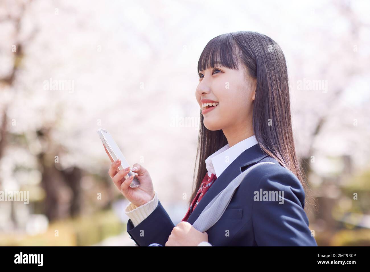 Japanese high school student portrait with cherry blossoms in full ...
