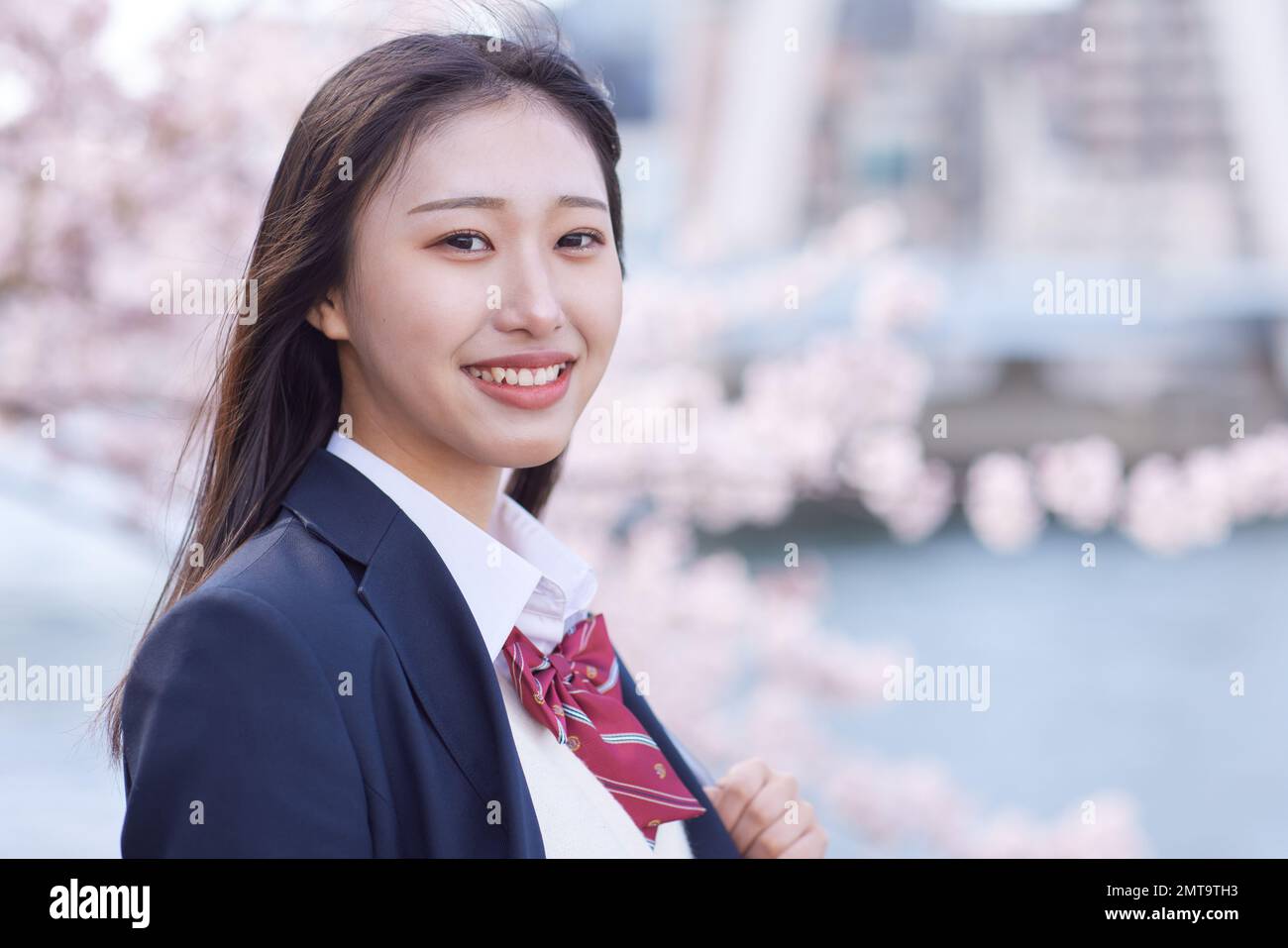 Japanese high school student portrait with cherry blossoms in full ...