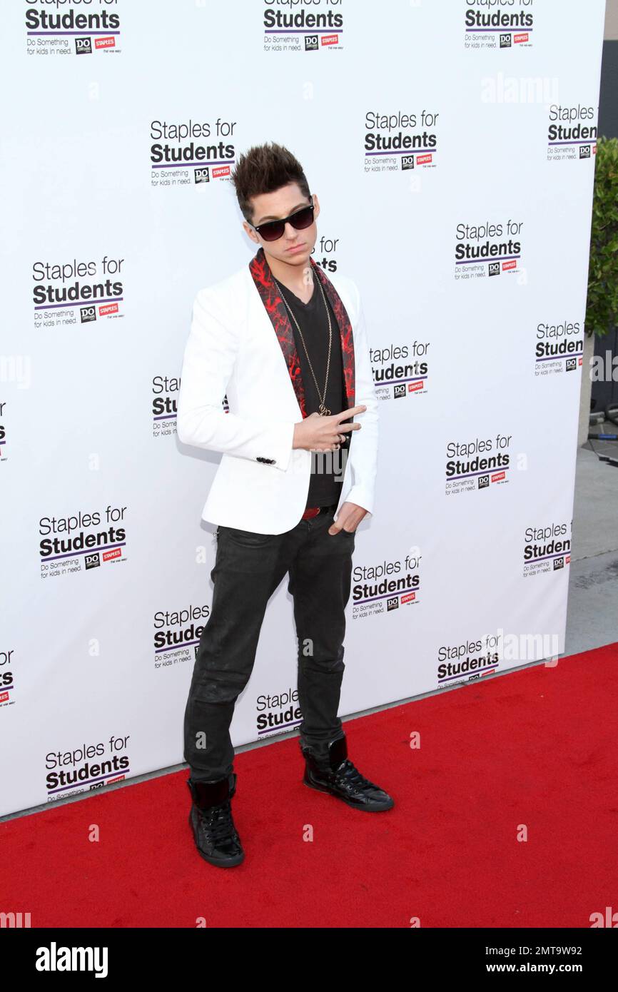 Skye Stevens at 'Party' For A Cause For Kids In Need hosted by Staples ...