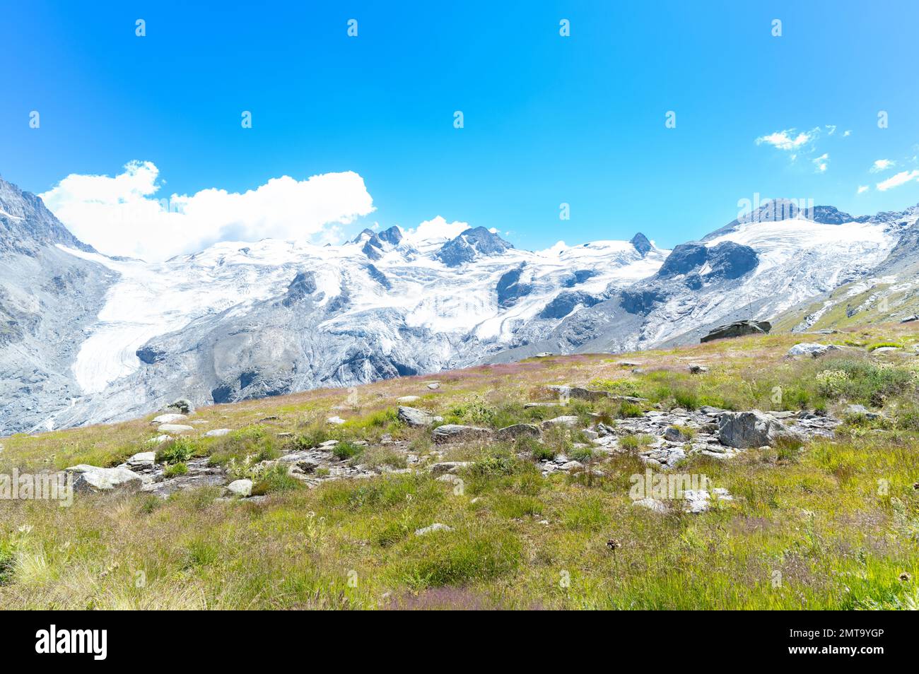 Mountain landscape on the Swiss Alps with green meadows and snow-capped ...