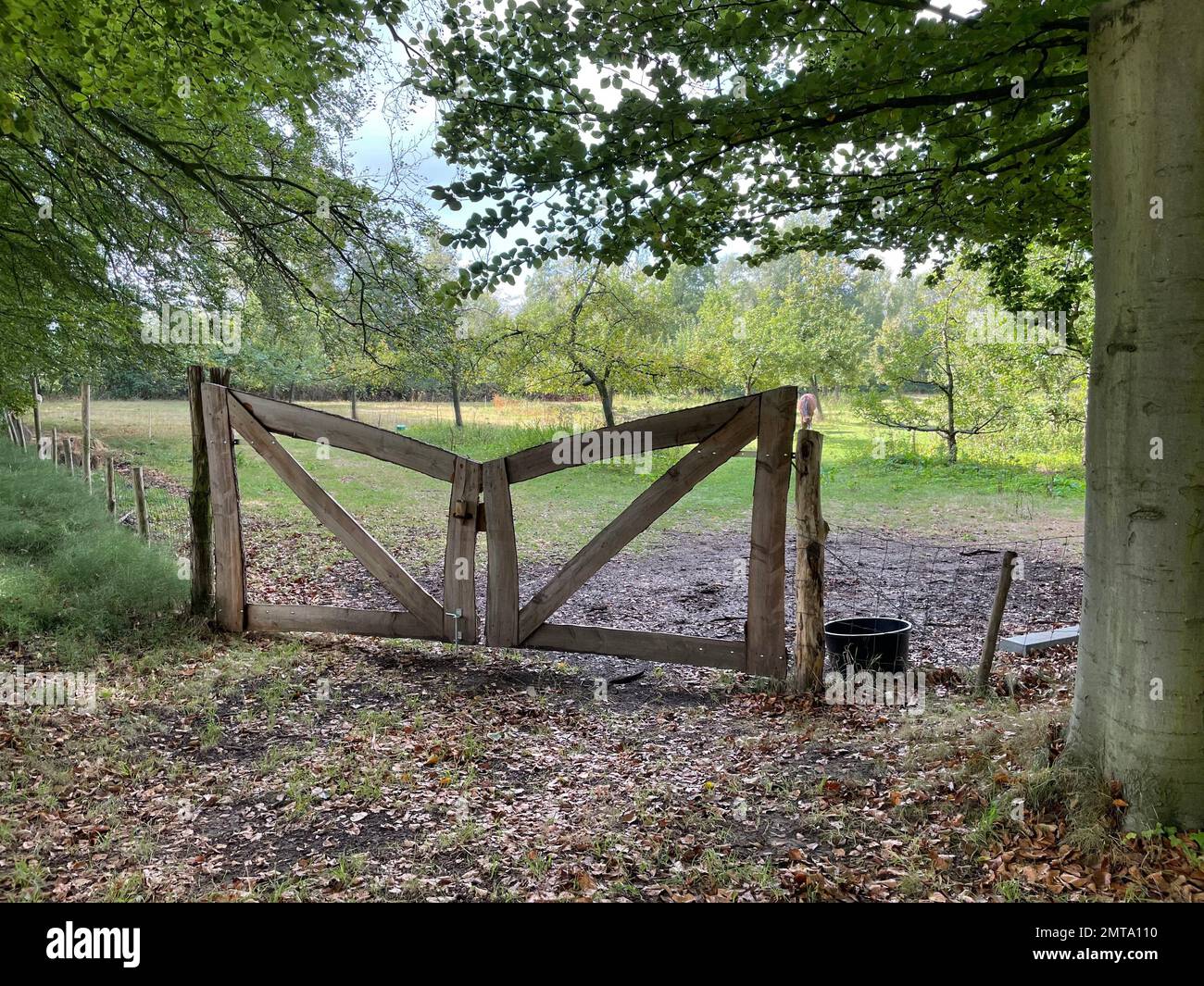 A closeup of farm wooden gates with green grass and trees around Stock ...