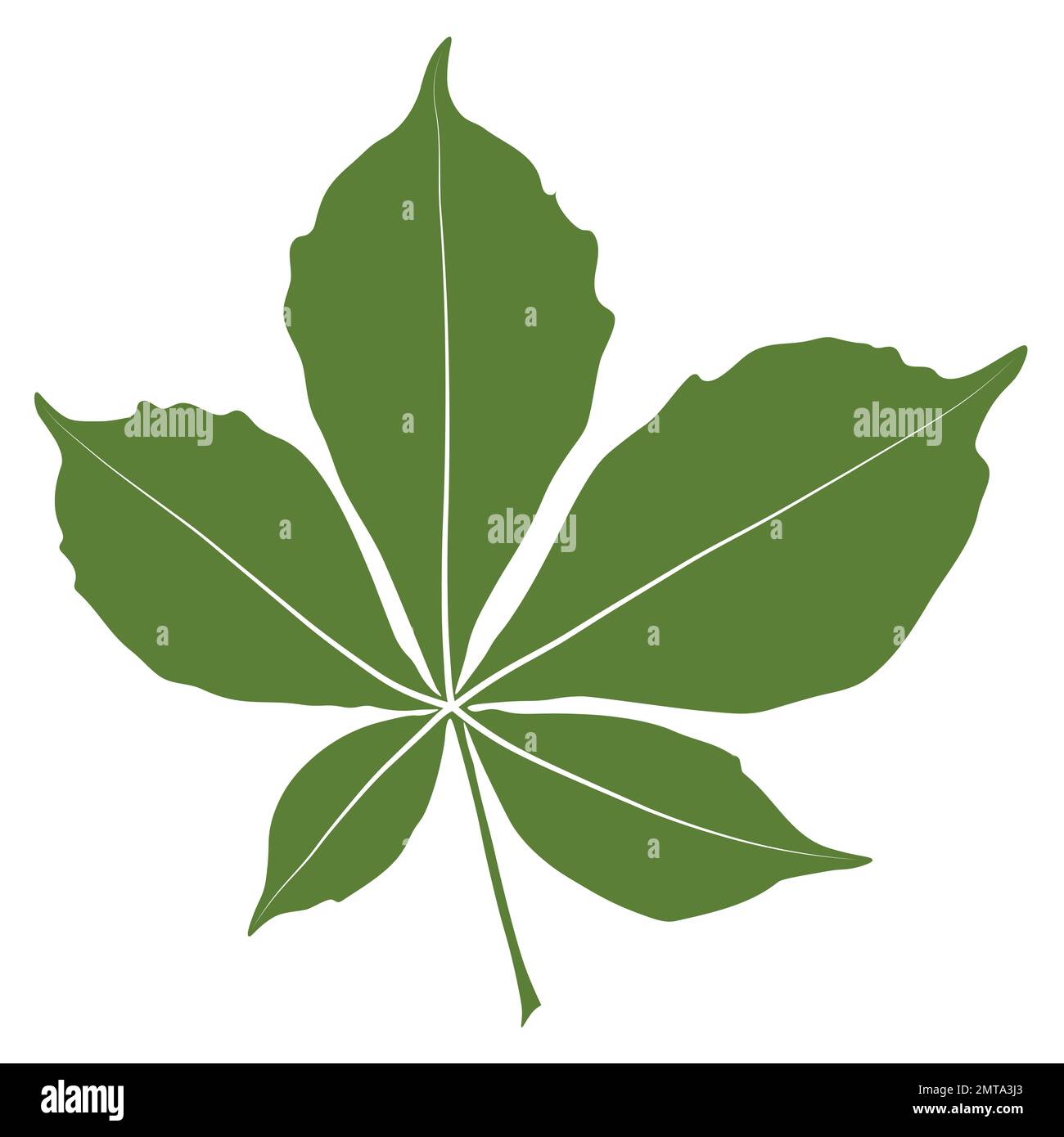 Vector chestnut leaf silhouette icon. Simple chestnut leaf illustration ...