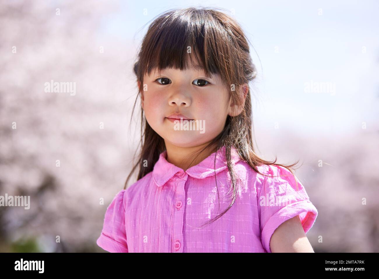 Japanese kid portrait with blooming cherry blossoms Stock Photo - Alamy