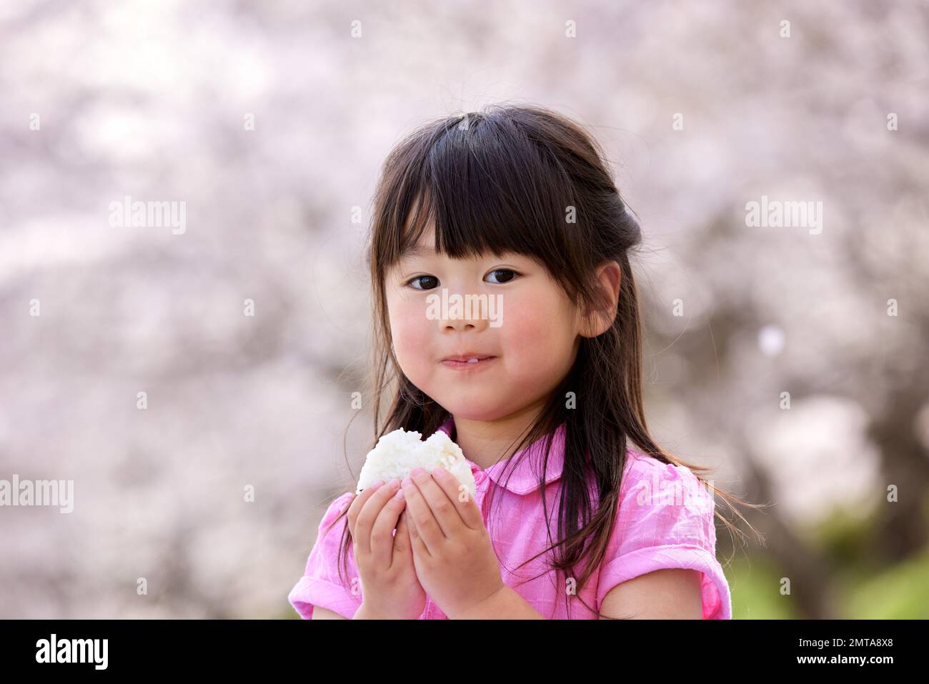 Japanese kid portrait with blooming cherry blossoms Stock Photo - Alamy