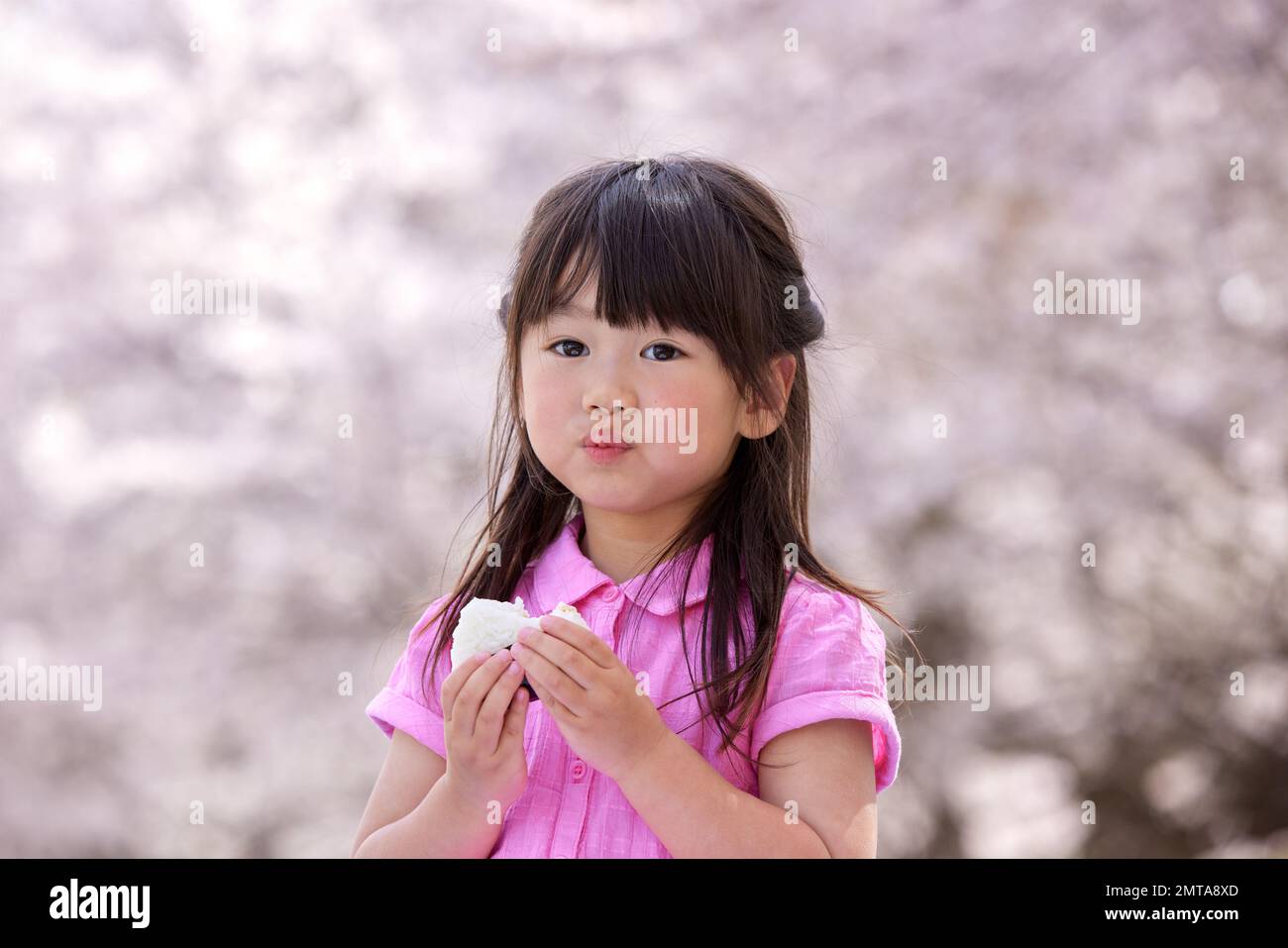 Japanese kid portrait with blooming cherry blossoms Stock Photo - Alamy