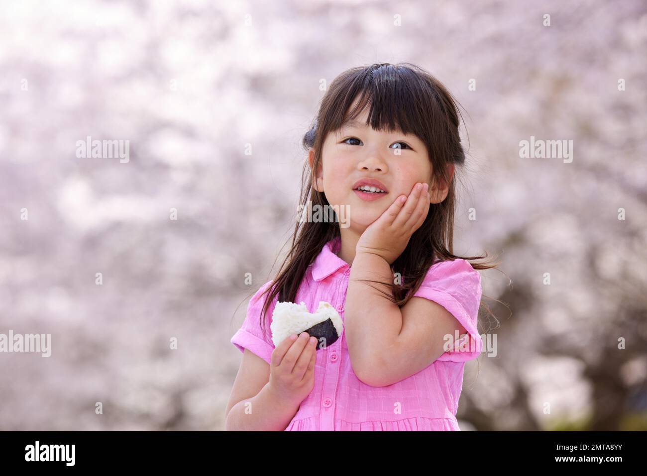 Japanese kid portrait with blooming cherry blossoms Stock Photo - Alamy