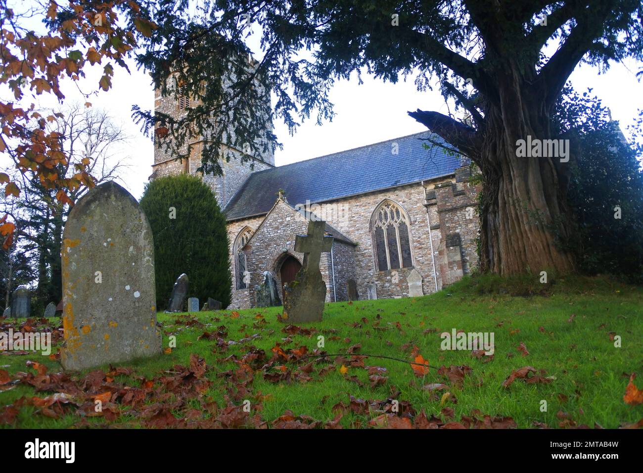 Upottery devon hi-res stock photography and images - Alamy