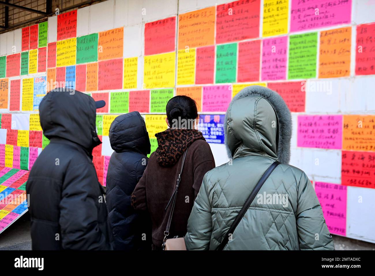 QINGDAO, CHINA - FEBRUARY 1, 2023 - Workers check job postings at a ...