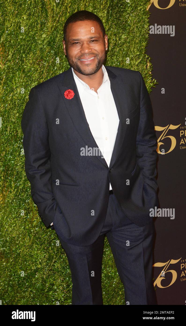 Anthony Anderson at the 75th Annual Peabody Awards in New York City ...