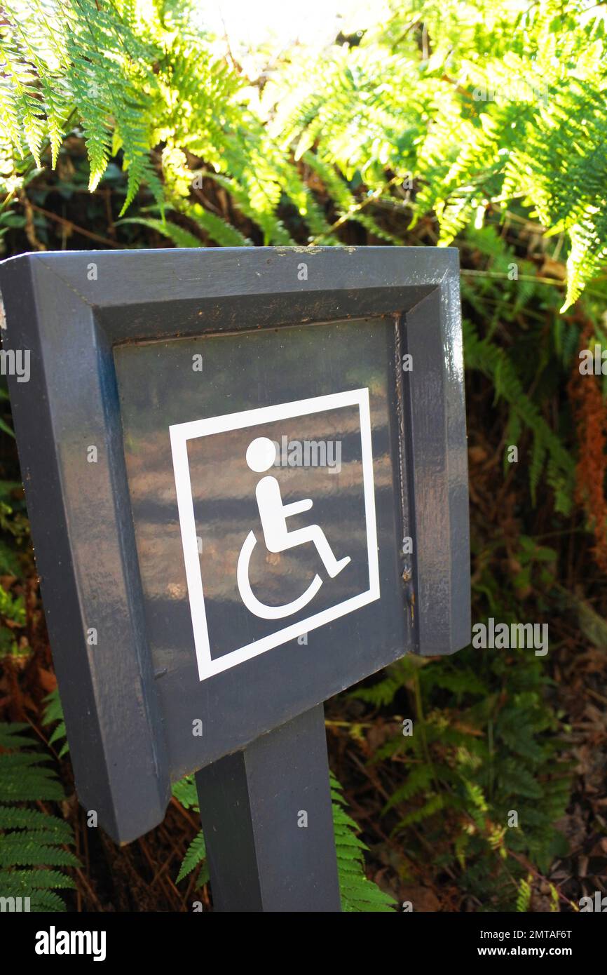 Small disabled sign - John Gollop Stock Photo - Alamy