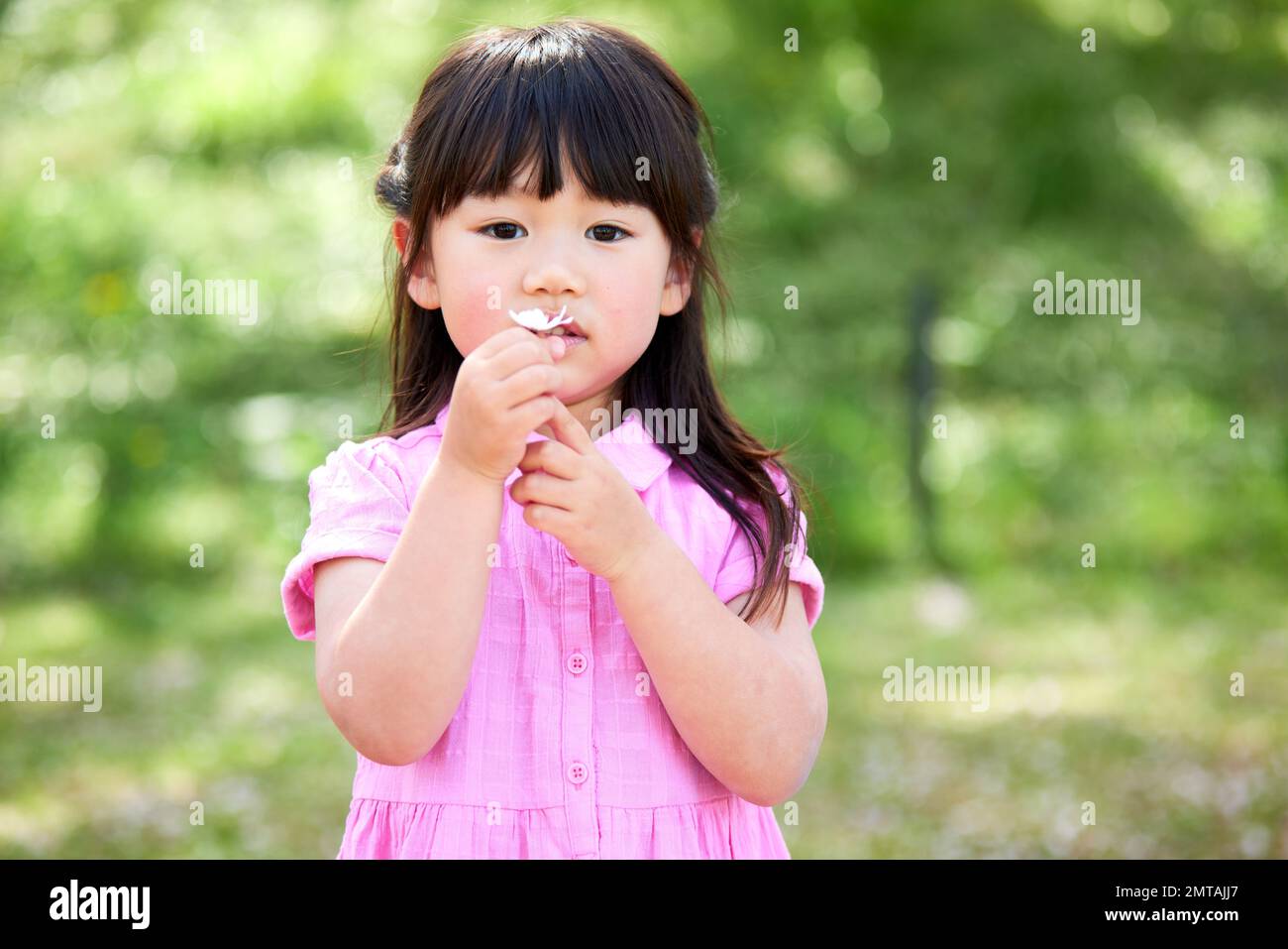 Japanese kid portrait in a city park Stock Photo - Alamy