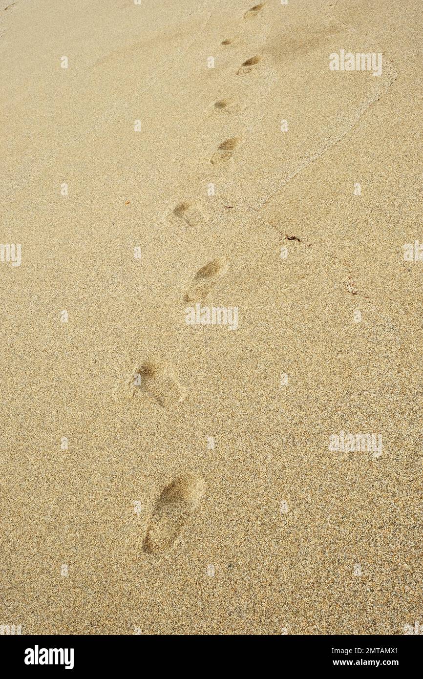Solitary footprints on a deserted beach - John Gollop Stock Photo - Alamy