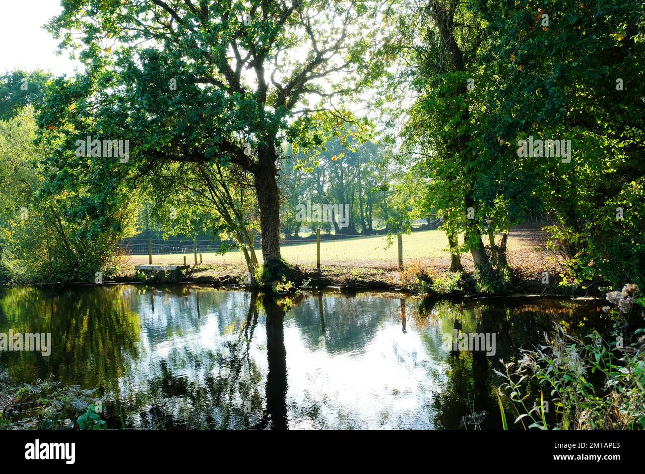 The Grand Western Canal about 3 miles from Tiverton near Halberton ...