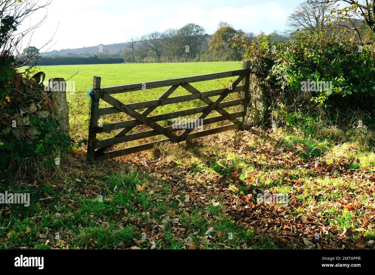 Wooden farm gate - John Gollop Stock Photo - Alamy