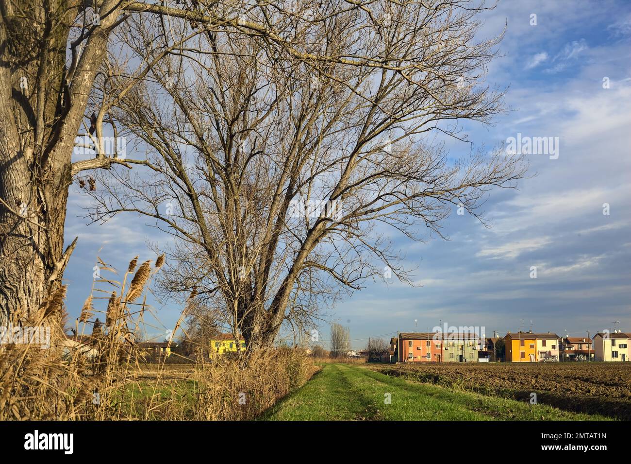Trail between ploughed fields and dry irrigation channels with a poplar ...