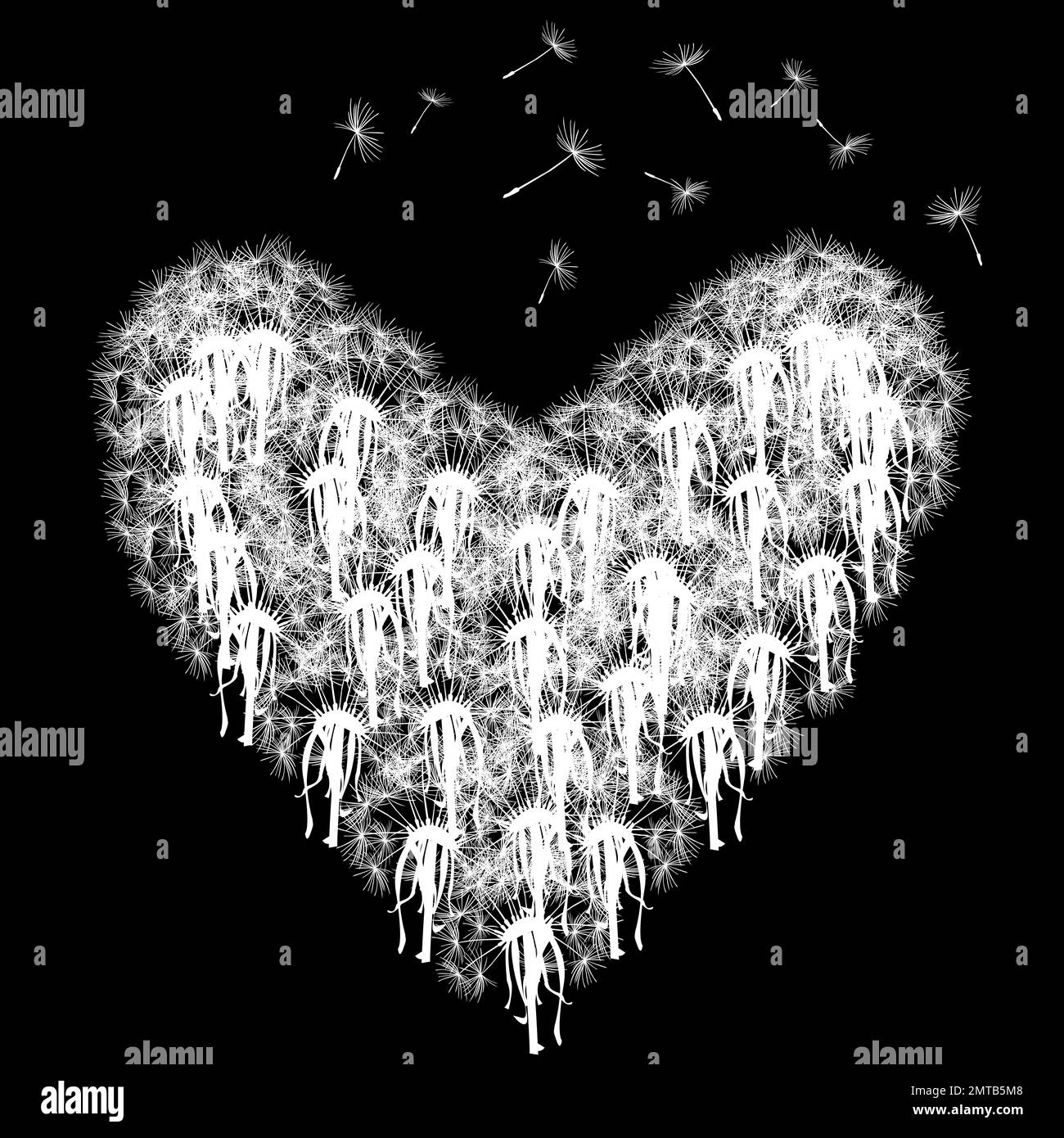 Heart made of dandelions with seeds flying isolated on black background ...