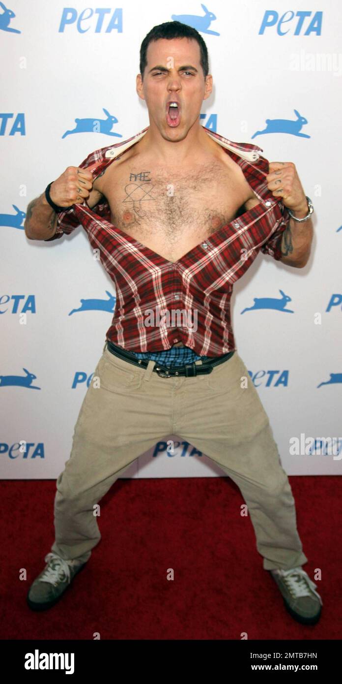 Steve-O walks the red carpet at PETA's 30th Anniversary Gala ...