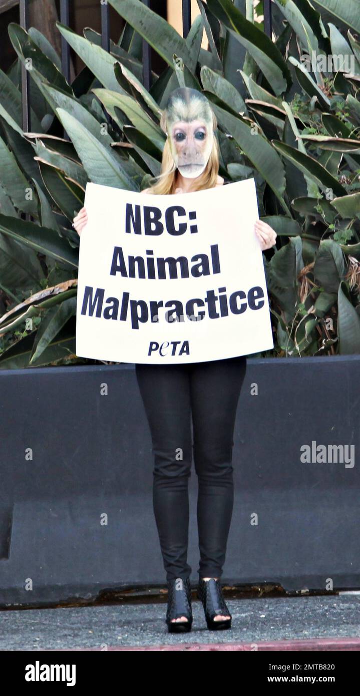 Peta protest monkey hi-res stock photography and images - Alamy