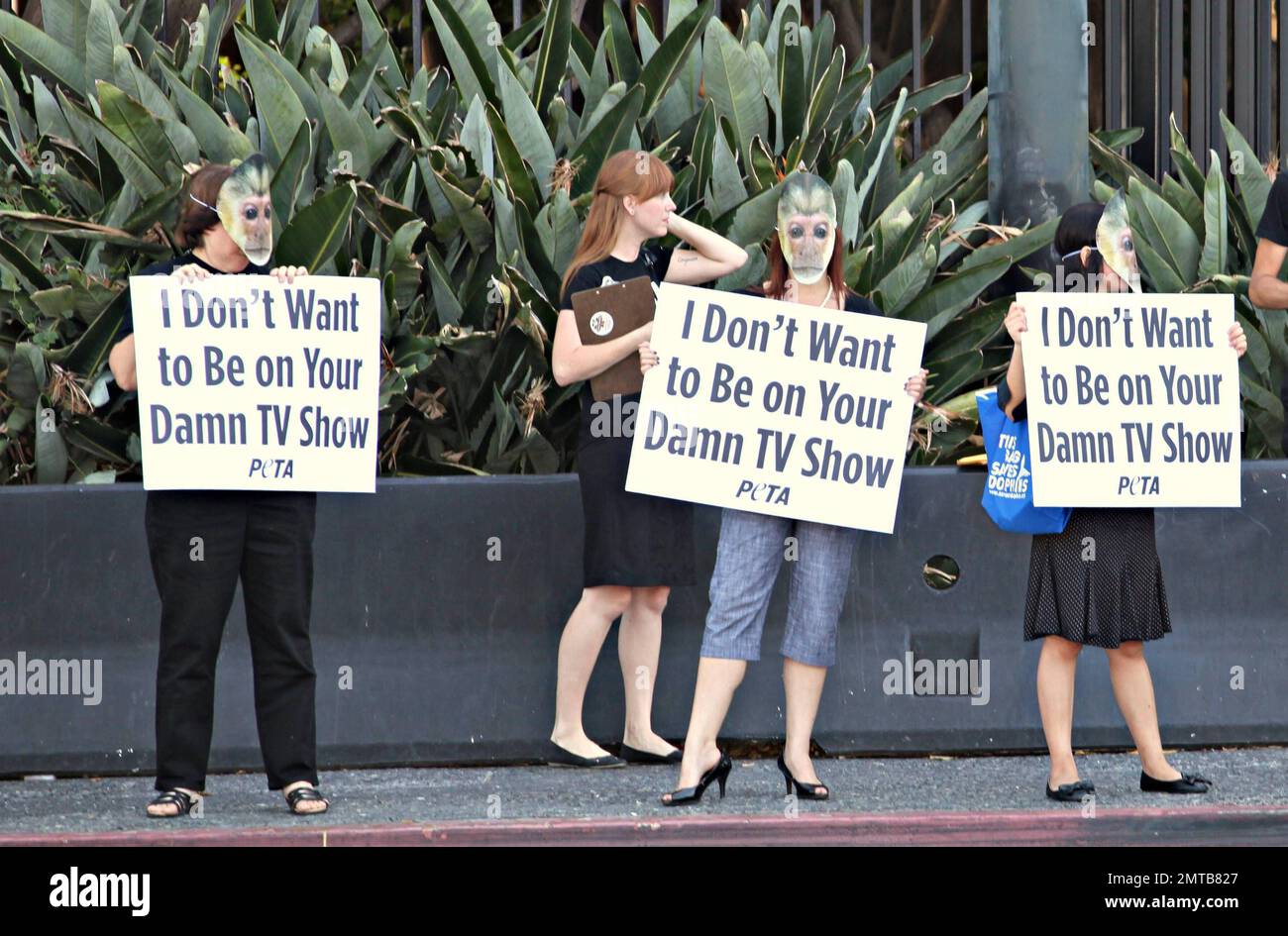 Peta protest monkey hi-res stock photography and images - Alamy