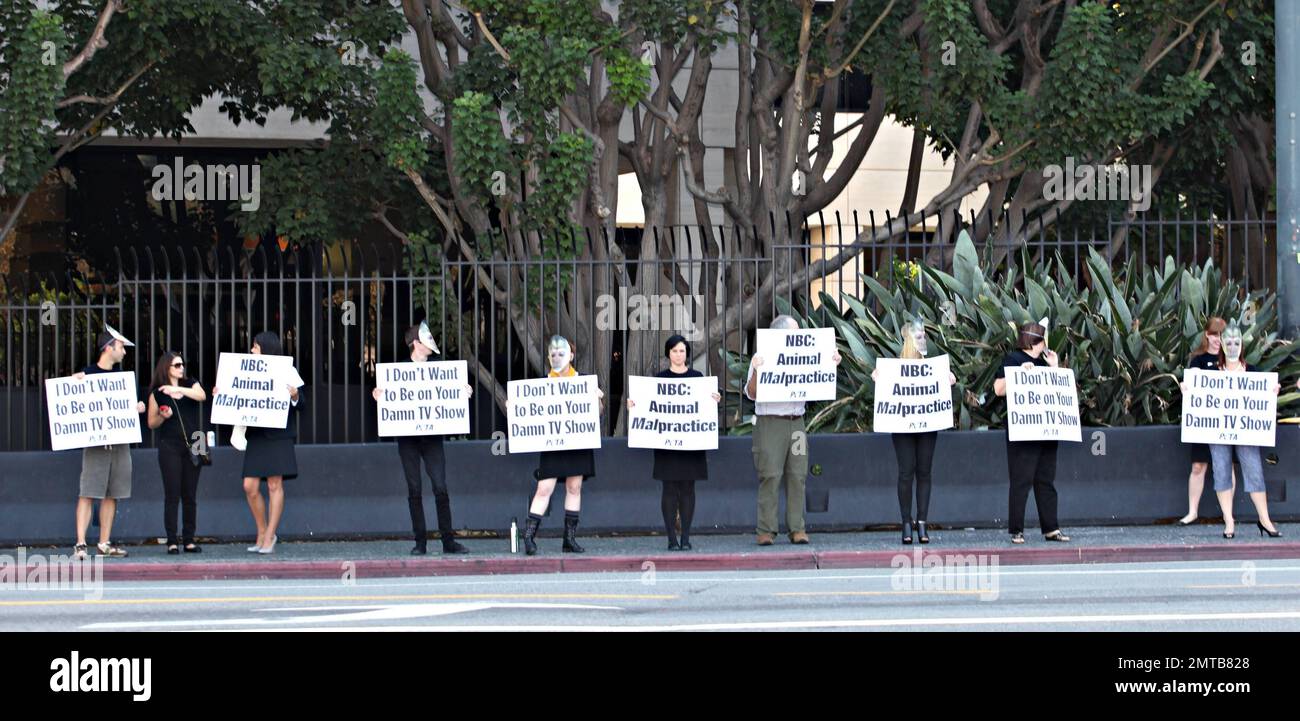 Peta protest monkey hi-res stock photography and images - Alamy