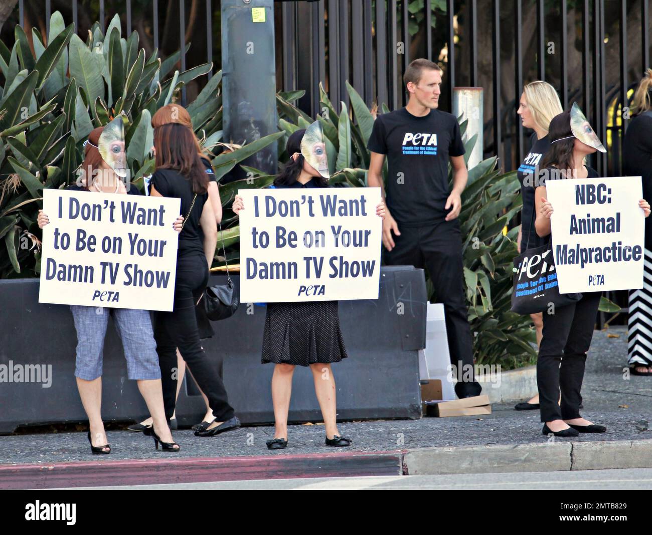 Peta protest monkey hi-res stock photography and images - Alamy