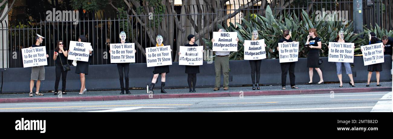 Peta protest monkey hi-res stock photography and images - Alamy