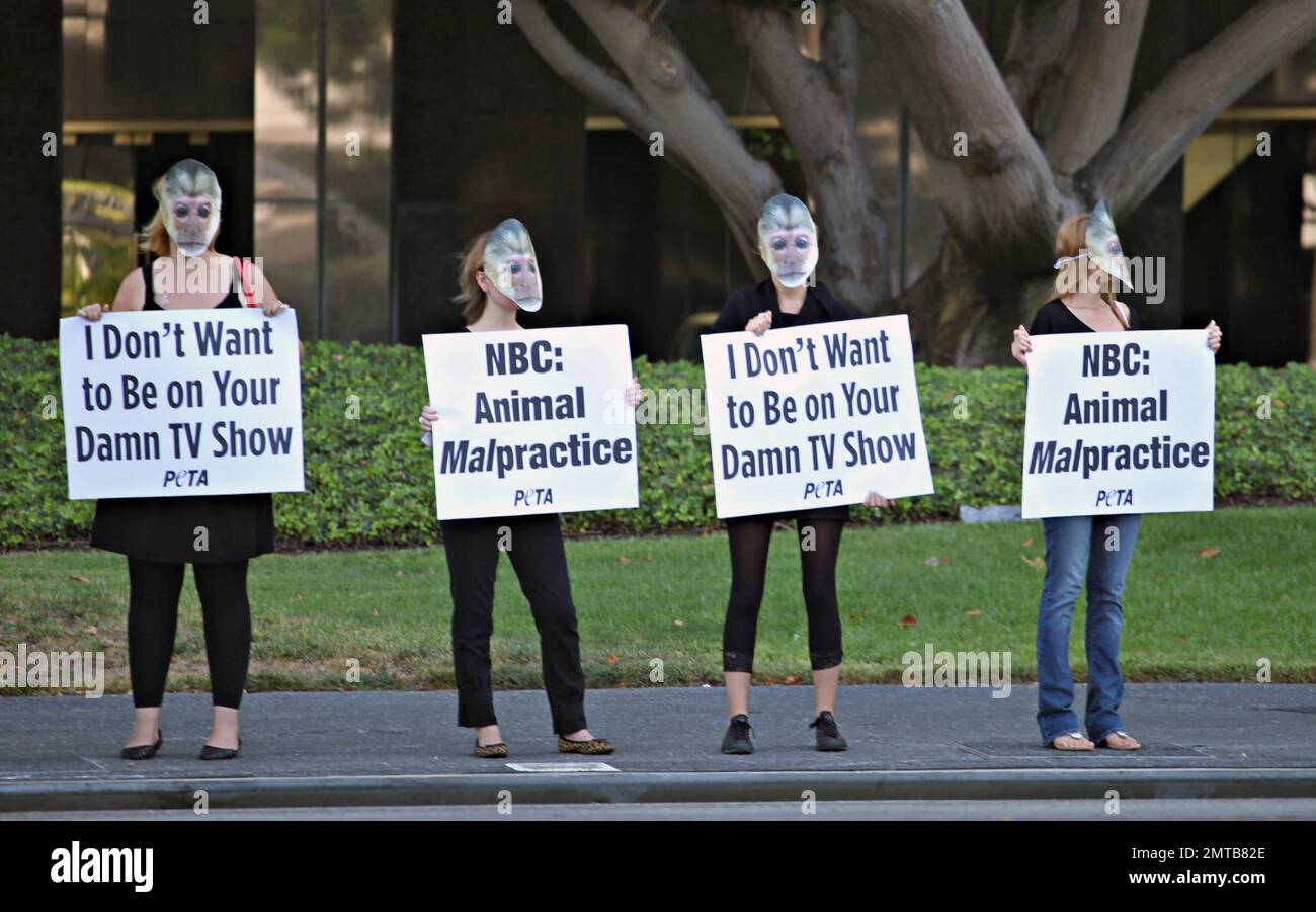 Peta protest monkey hi-res stock photography and images - Alamy